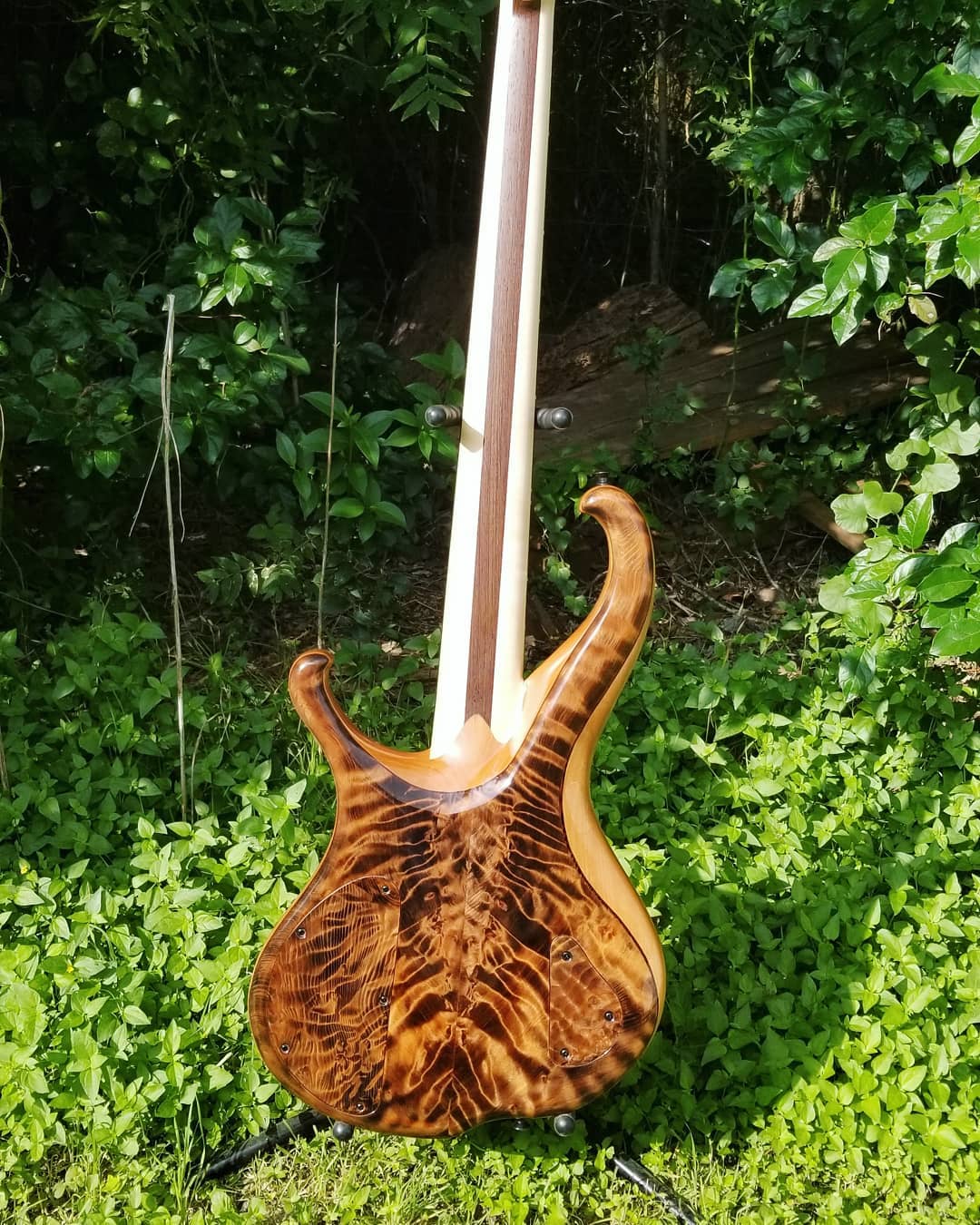 Luminlay Dots Archives - Muckelroy Basses